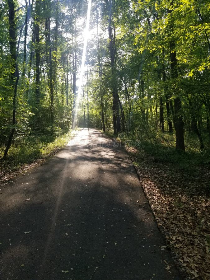 Sunlight Trail stock image. Image of trail, view, walking - 183894669