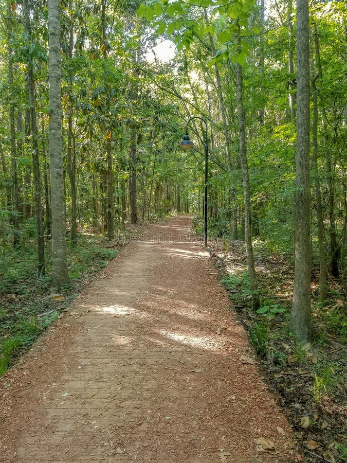 Walking Trail in Tallahassee Florida Spring Time Stock Photo - Image of ...