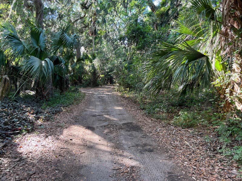 The Walking Trail in Trimble Park in Mount Dora, Florida Stock Photo ...