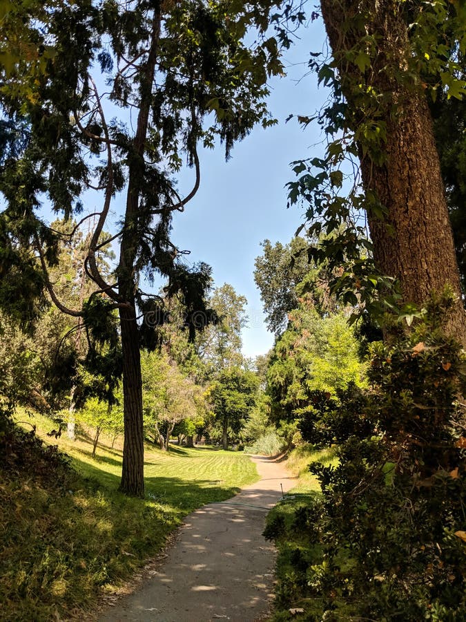Walking Trail through Wooded Area of a Park. Stock Image - Image of ...