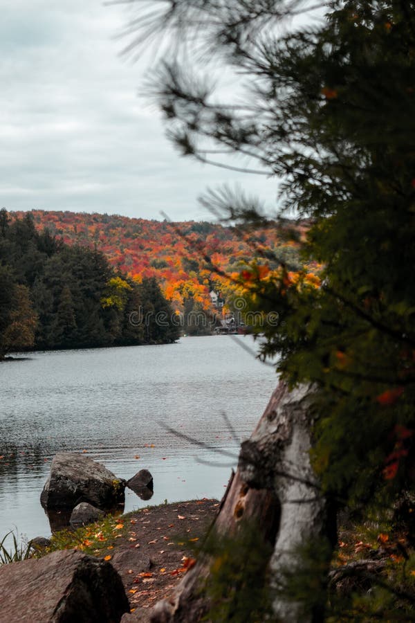 Walking trails in the fall stock photo. Image of walking - 128502704