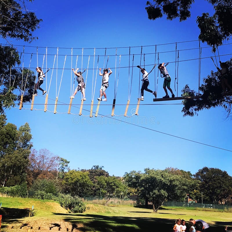 A rob ranch editorial stock photo. Image of trees, suspended - 190992313
