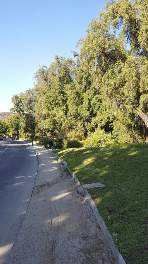 Walking trees stock photo. Image of walking, relax, trees - 112940574