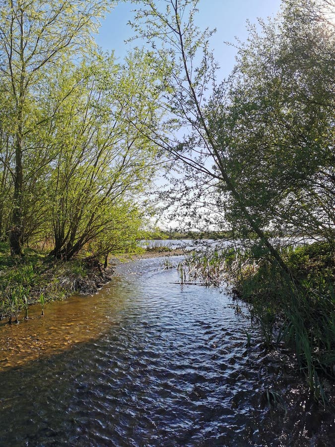Walking Up the Stream To the Unknown â€“ Lake? Stock Image - Image of ...