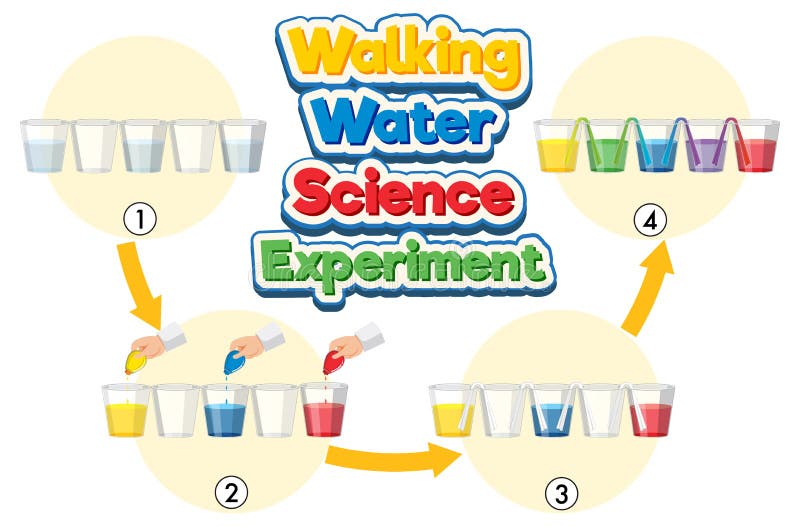Walking Water Science Experiment Stock Vector - Illustration of natural ...