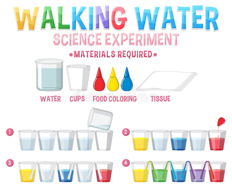 Walking Water Science Experiment Stock Vector - Illustration of learn ...