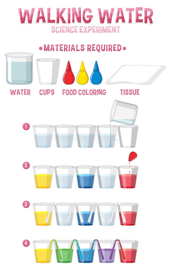 Walking Water Science Experiment Stock Vector - Illustration of eps10 ...