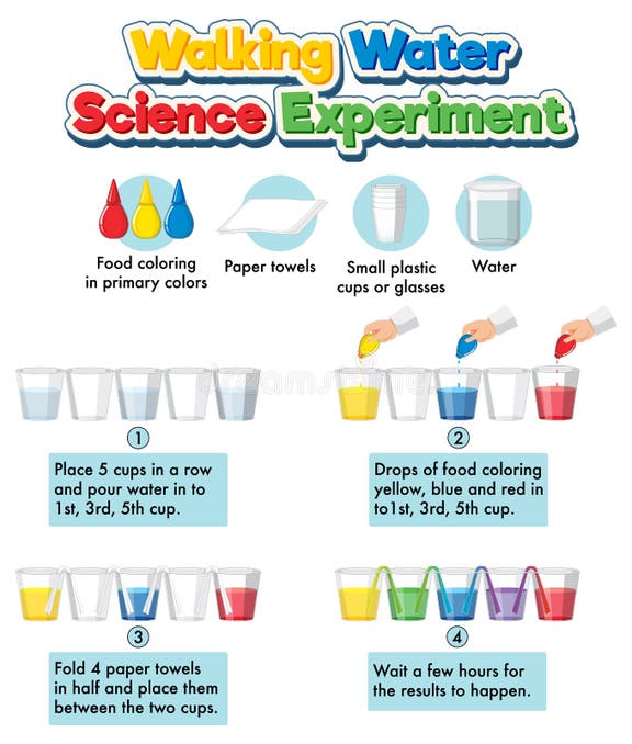 Walking Water Science Experiment Stock Vector - Illustration of ...