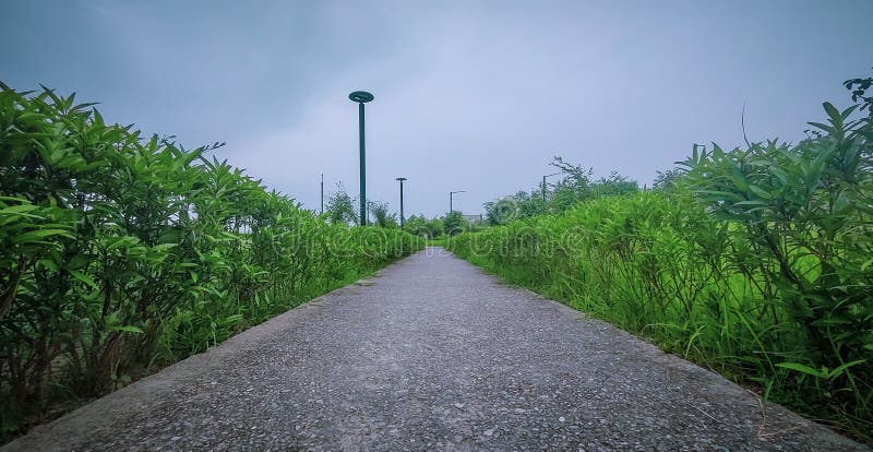 Walkway, Green Grass and Colorful Trees at Valentino Park in Turin ...