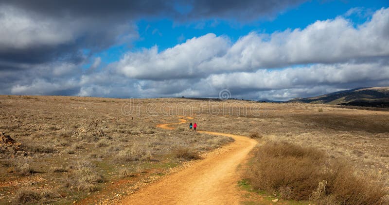 Walking way on wilderness stock photo. Image of adventure - 245330320
