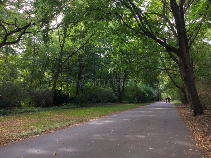 Walking in a Wide Path in the Middle of a Green Park Stock Photo ...