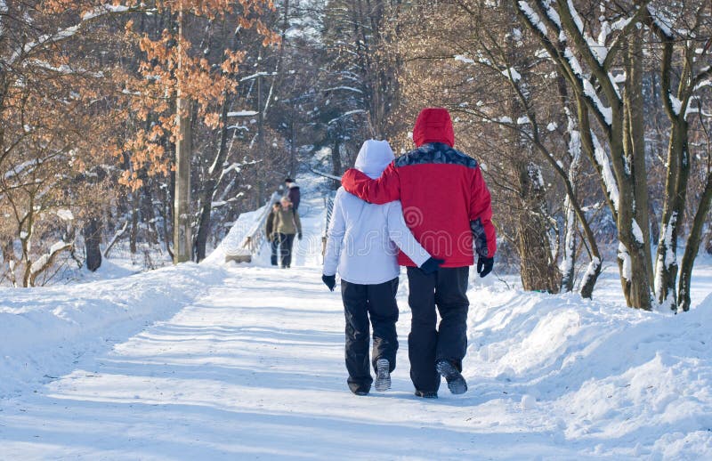 Walking through Winter Park Stock Image - Image of natural, nature ...