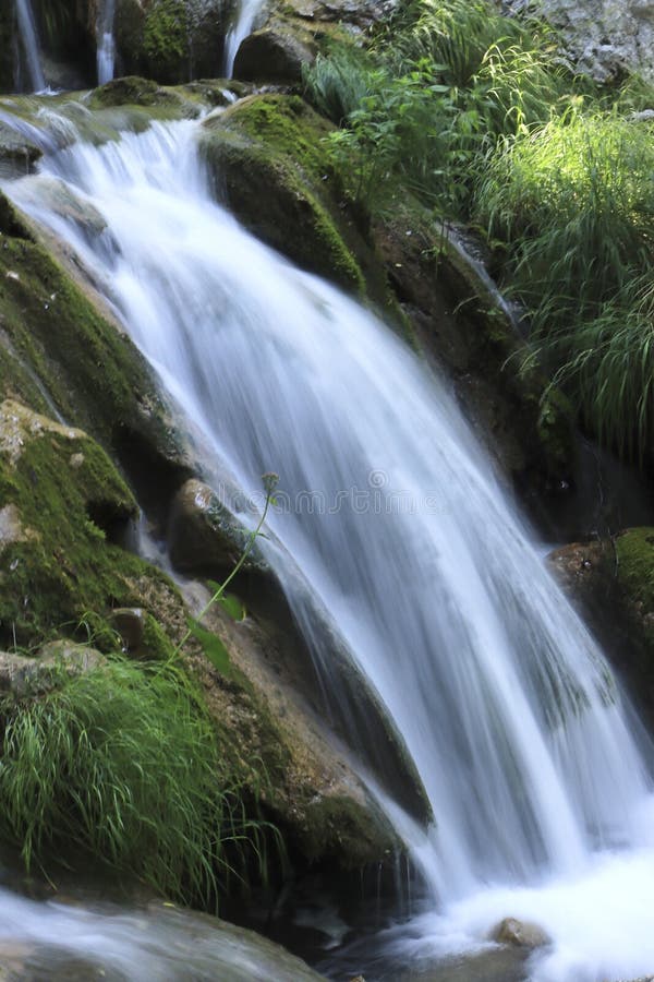 Walking in the Woods, a Cool Stream that Crosses the Rocks and Becomes ...