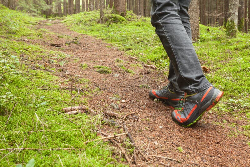 Walking in the Woods Long a Path Stock Image - Image of road, action ...