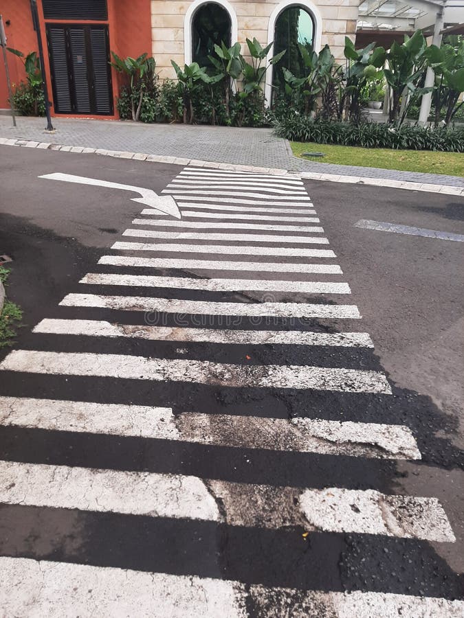 Walking on zebra cross stock photo. Image of lanscape - 264270610