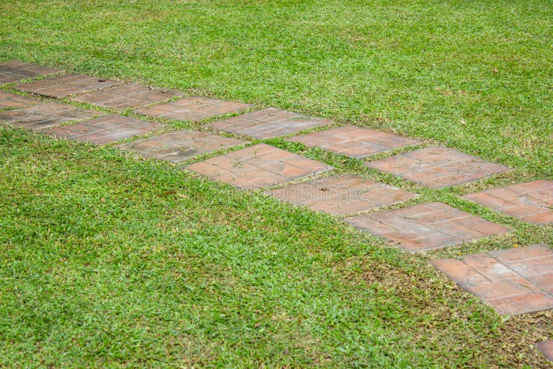 Walkpath and Green Grass, Footpath Stock Image - Image of walk, green ...