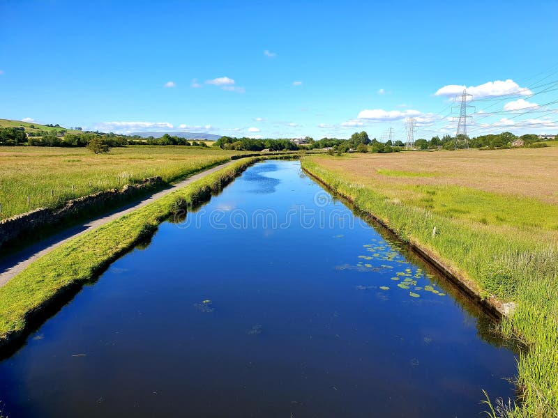 Litties Stock Photos - Free & Royalty-Free Stock Photos from Dreamstime