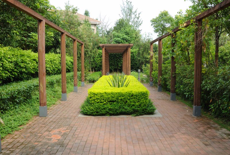 Walkway stock photo. Image of cultivated, arcade, line - 7131712