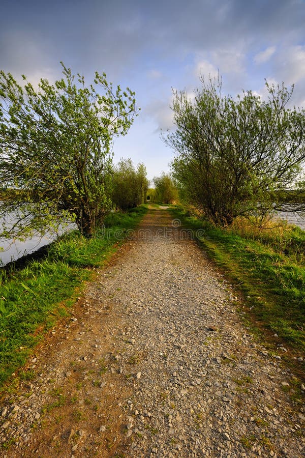 Walkway stock image. Image of pathway, ireland, environment - 9100741