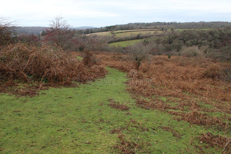 Walkway Across the Moors in Devon Stock Photo - Image of moors ...