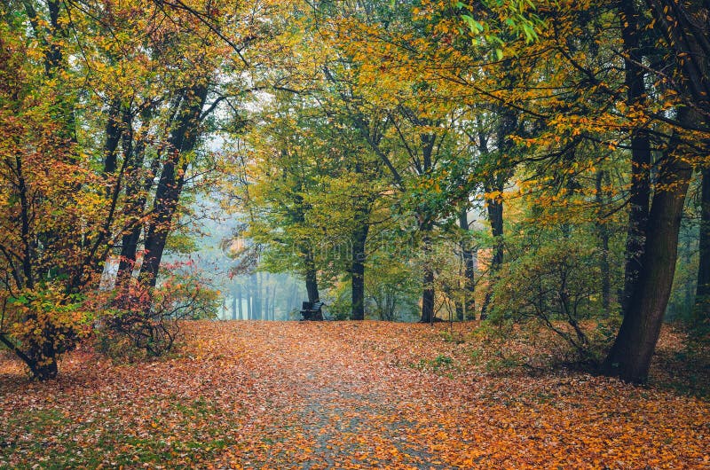 Beautiful autumn nature. stock image. Image of brick - 102321533