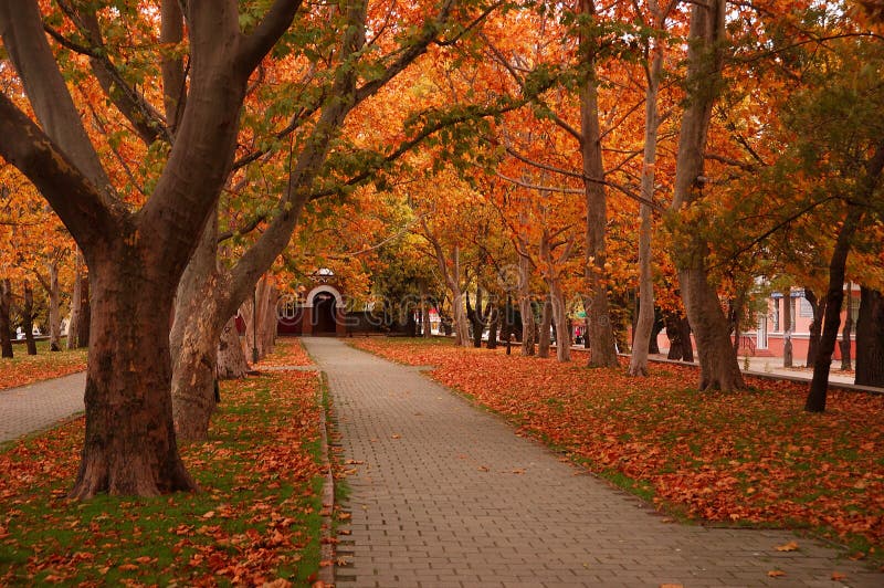 Autumn on Campus stock photo. Image of class, campus, school - 468820