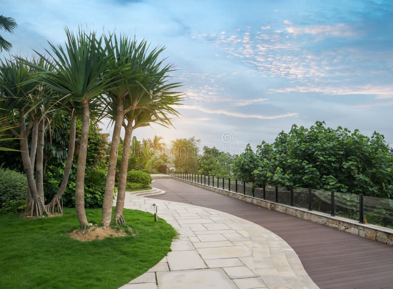 Walkway in a Beautiful Park Stock Image - Image of grass, lane: 74893475 Walkway in a Beautiful Park Stock Image - Image of grass, lane: 74893475