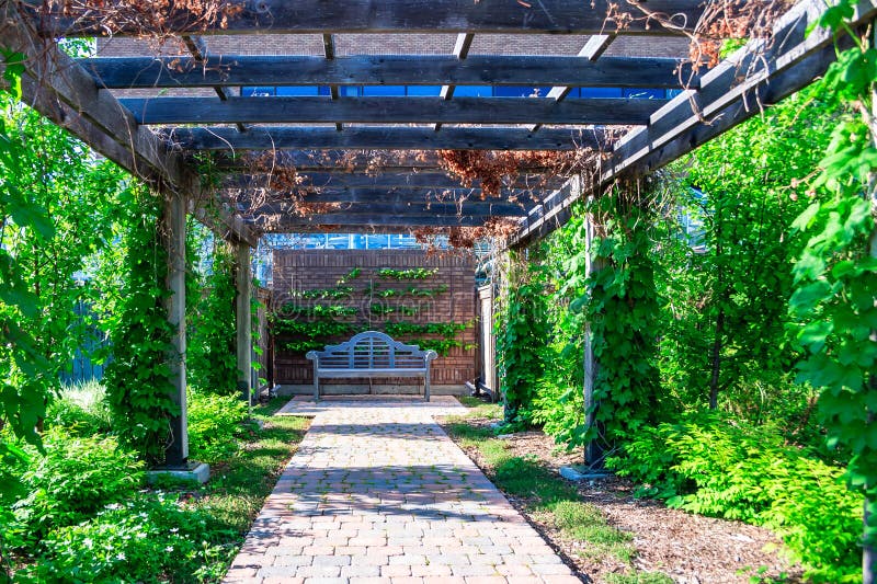 A Walkway with a Bench and Vines Growing on the Walls Stock Photo ...