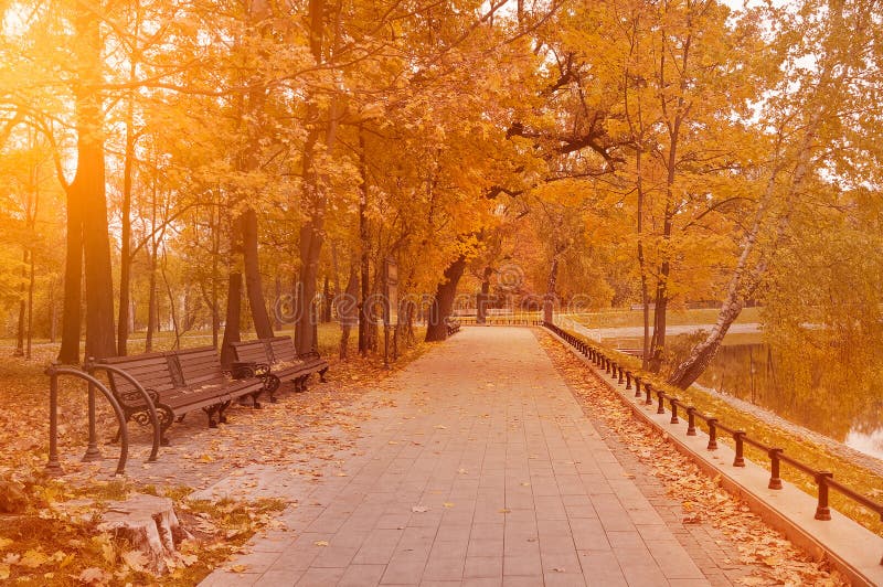 Walkway and Benches in the City Park. Stock Image - Image of rest, park ...