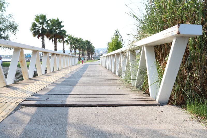 Walkway, Boardwalk, Bridge, Recreation Picture. Image: 116611076