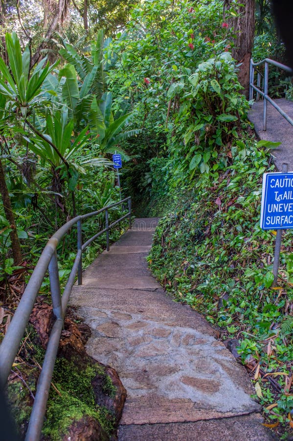 Walkway Botanical Gardens stock photo. Image of hawaii - 46911370