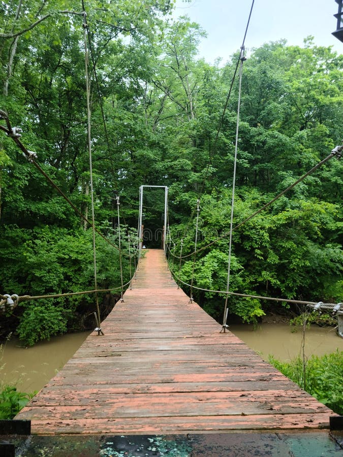 Walkway bridge over creek stock image. Image of river - 258300631
