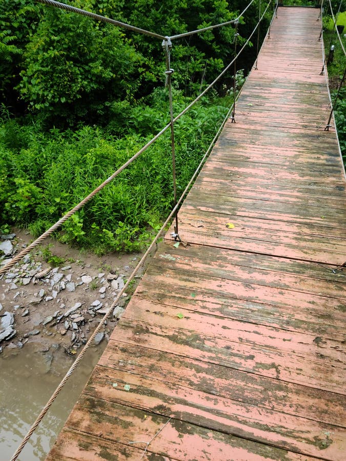 Walkway bridge over water stock image. Image of tree - 258300705