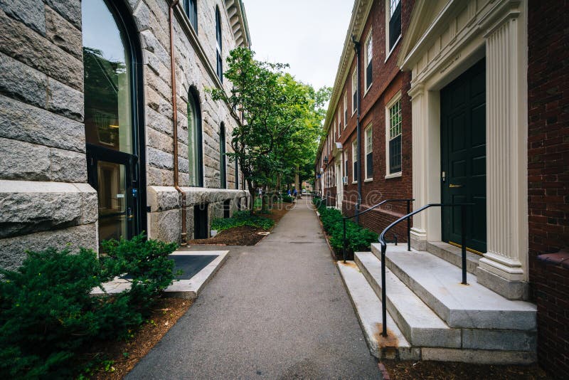 Walkway and Buildings at Harvard University, in Cambridge ...