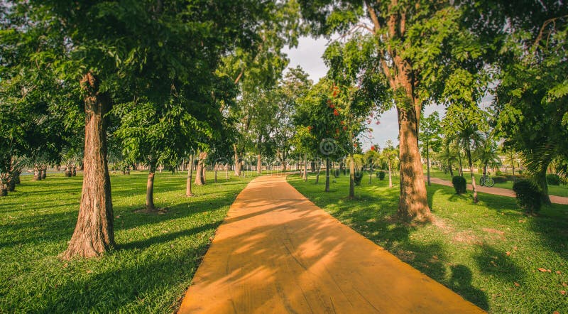 Walkway and Bush. that is Concrete Pavement, Floor, Passage, Path ...