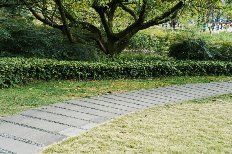 Footpath in Garden or Park Along with Green Grass and Tree. Stock Image ...