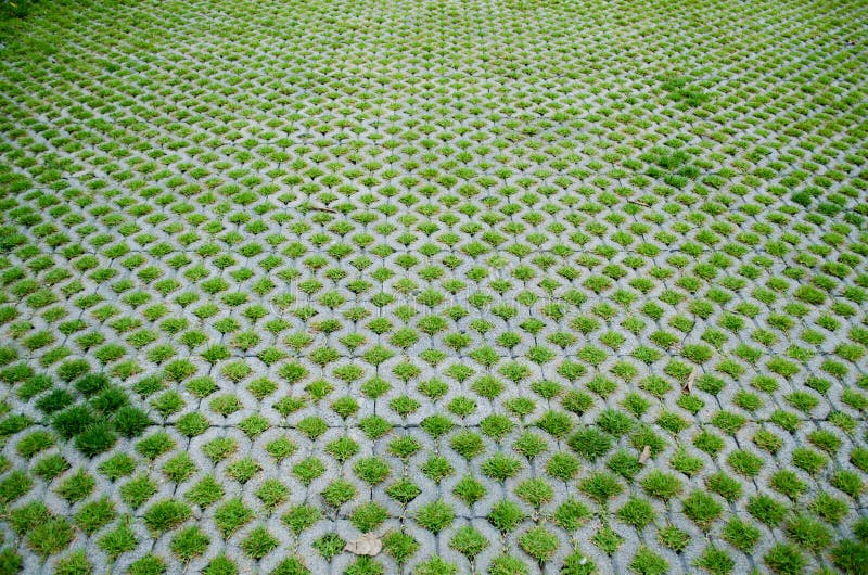 Walkway Cement, Grass Pattern for Home Stock Image - Image of stone ...