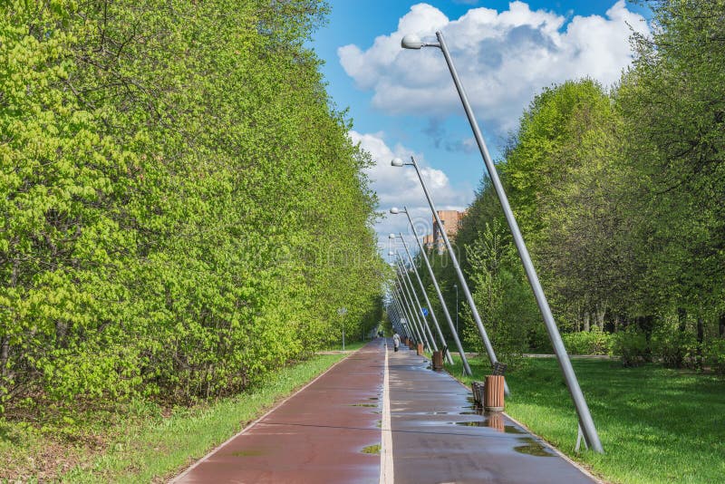 Walkway in the city park stock photo. Image of alley - 314117330