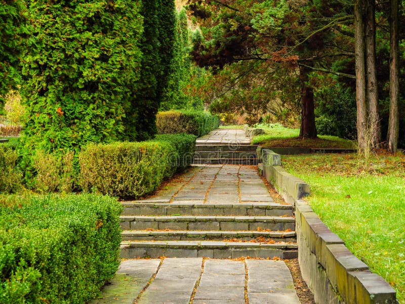 Walkway of Concrete Slabs among Thuja and Pine Trees Stock Photo ...