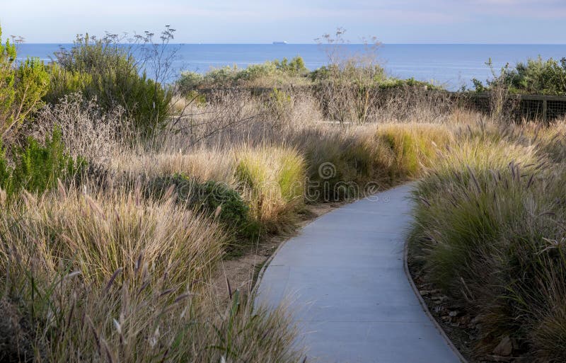 A Walkway Cuts through Thick Brush and Foliage with an Ocean View in ...