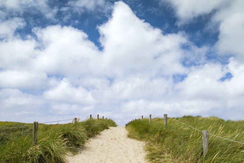 Walkway in the dunes stock image. Image of grasses, dunes - 225074307