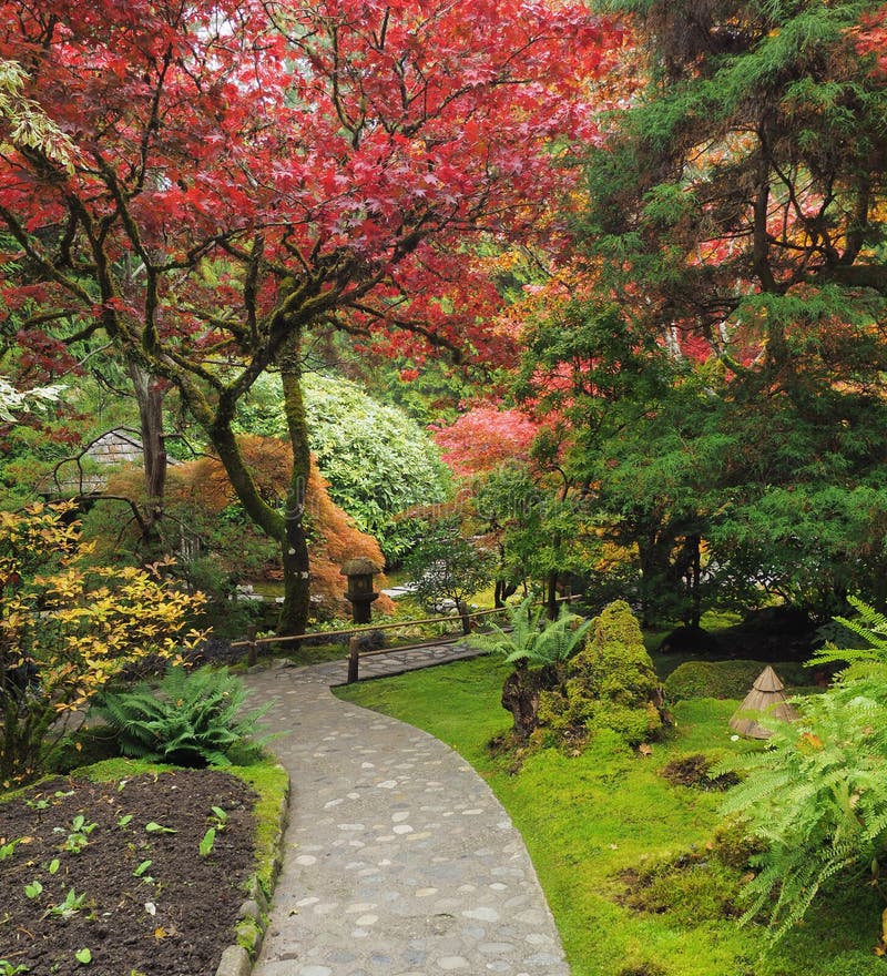Walkway in a fall park stock photo. Image of nature, africa - 34654798