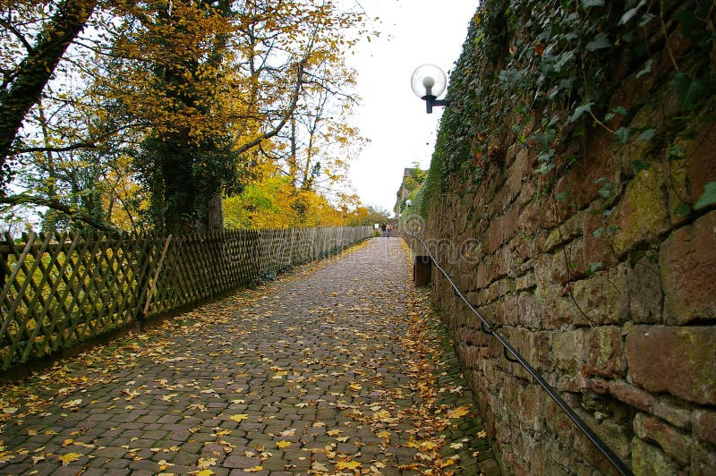 Walkway in fall stock image. Image of autumn, heidelberg - 31339543