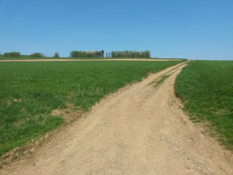 Walkway through the Fields during Spring Stock Image - Image of meadows ...
