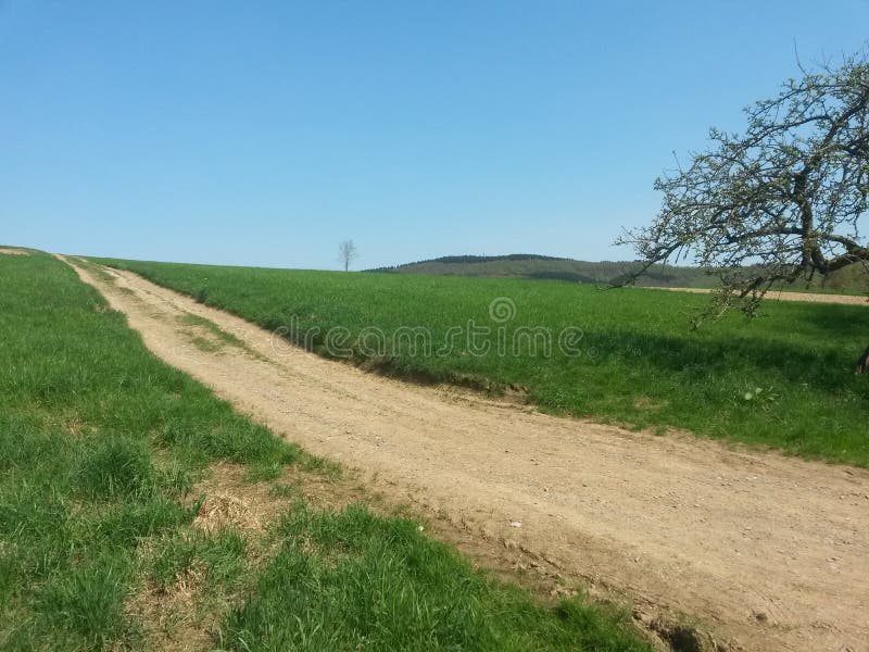 Walkway through the Fields during Spring Stock Photo - Image of meadows ...