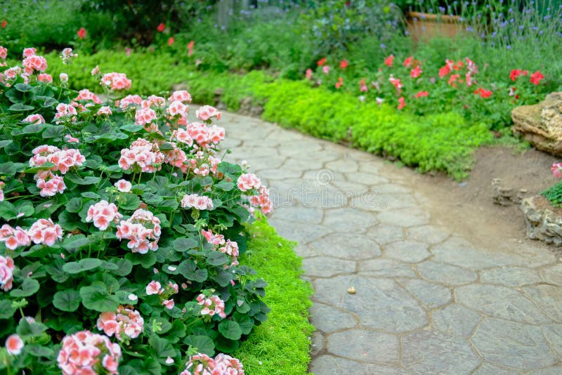 Walkway in Flower Garden Park Stock Image - Image of park, botany ...