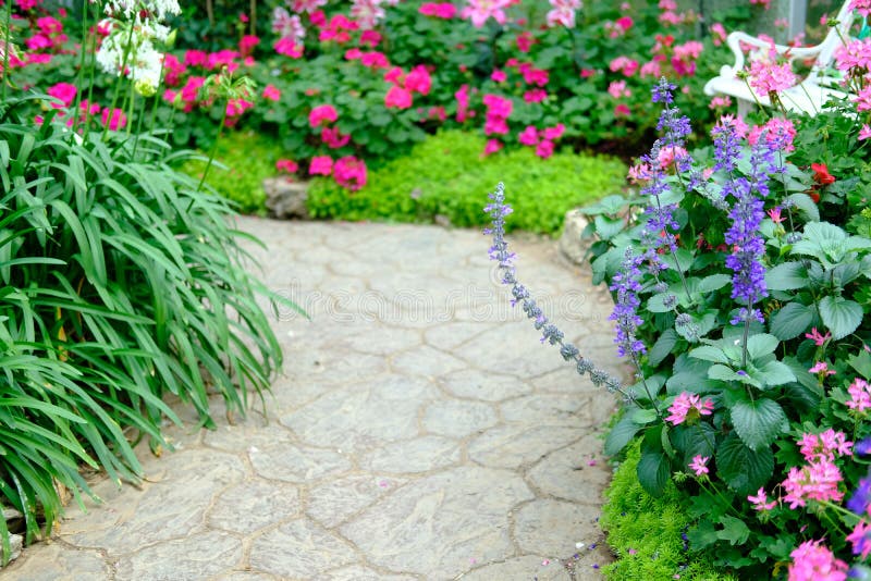 Walkway in Flower Garden Park Stock Photo - Image of gardening ...