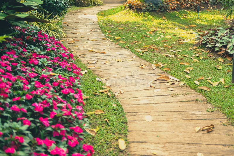 Walkway in Flower Garden Park Stock Image - Image of garden, botanical ...