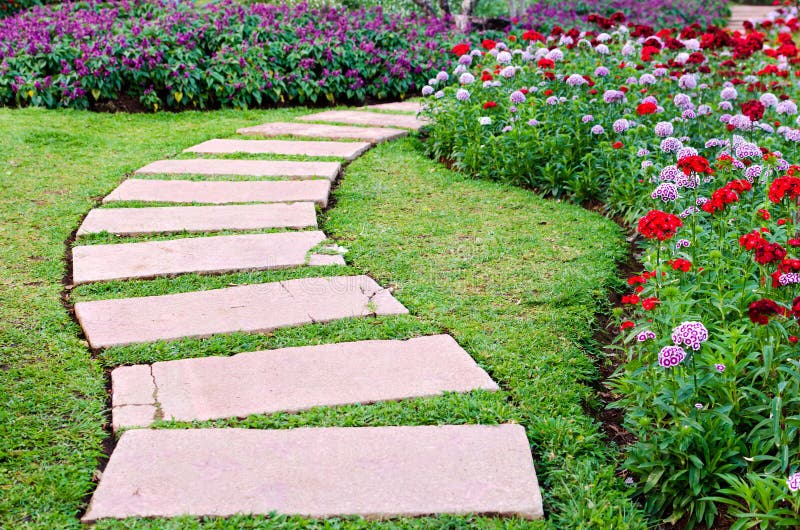 Walkway stock photo. Image of natural, green, garden - 39119088