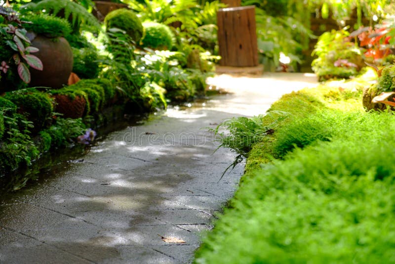 Walkway on the Garden with Sunlight Stock Image - Image of path ...